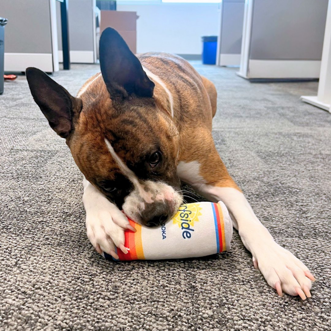 Surfside Plush Chew Toy – Stateside Brands