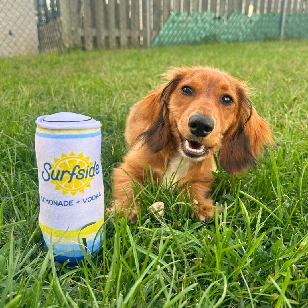 Surfside Plush Chew Toy – Stateside Brands